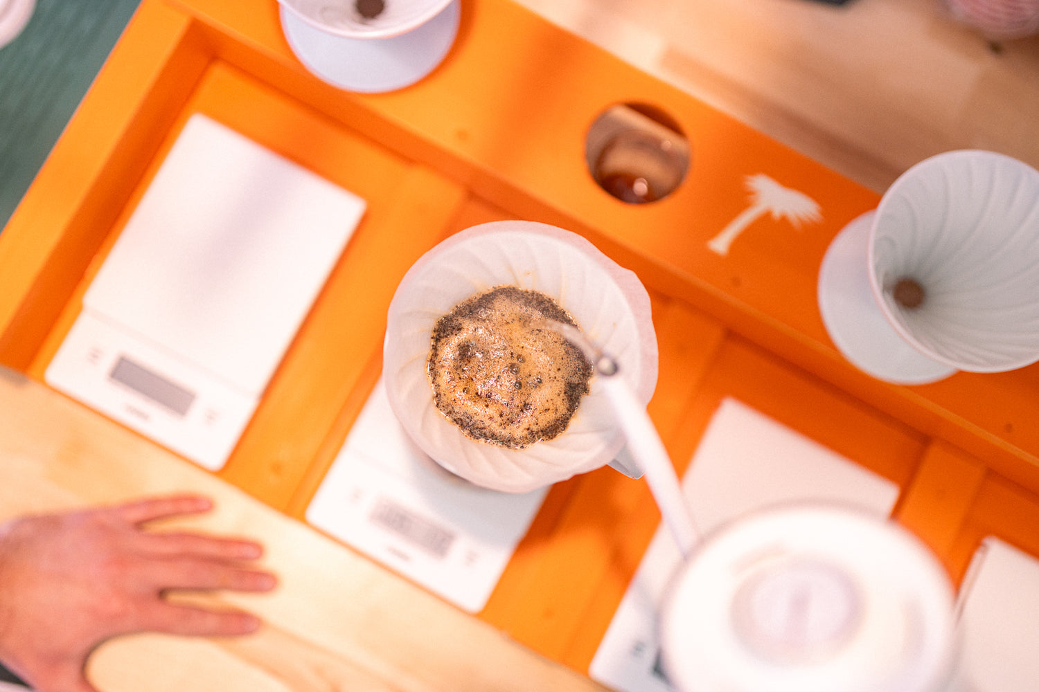 Breezeway Coffee Roasters